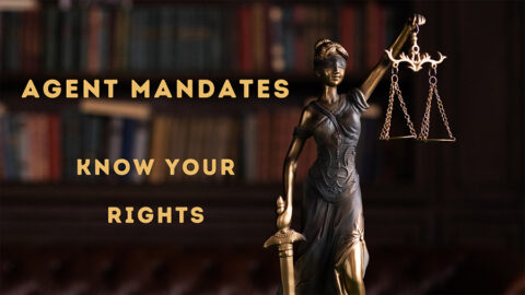 THE PITFALLS OF EXCLUSIVE SOLE MANDATES: A GUIDE FOR HOME SELLERS | LB ...